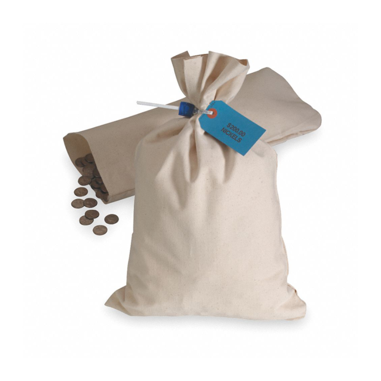 9 x 12 VoidPak Security Deposit Bag